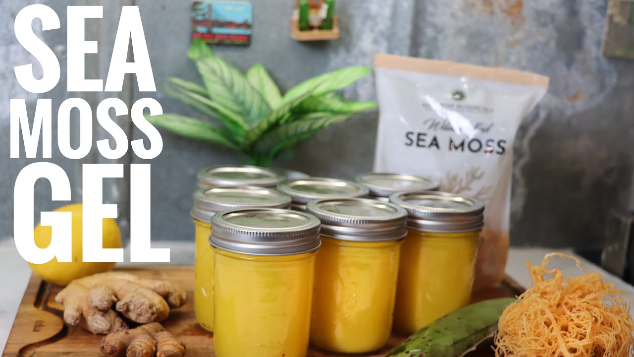Sea Moss Gel for Beginners(with Aloe Vera, Turmeric, Ginger, & Lemon ...
