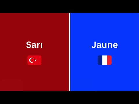 Türkçe ve Fransızca Renkleri Öğrenin | Hızlı ve Kolay Dil Dersi | Polyglot Cafe 🌍 les couleurs