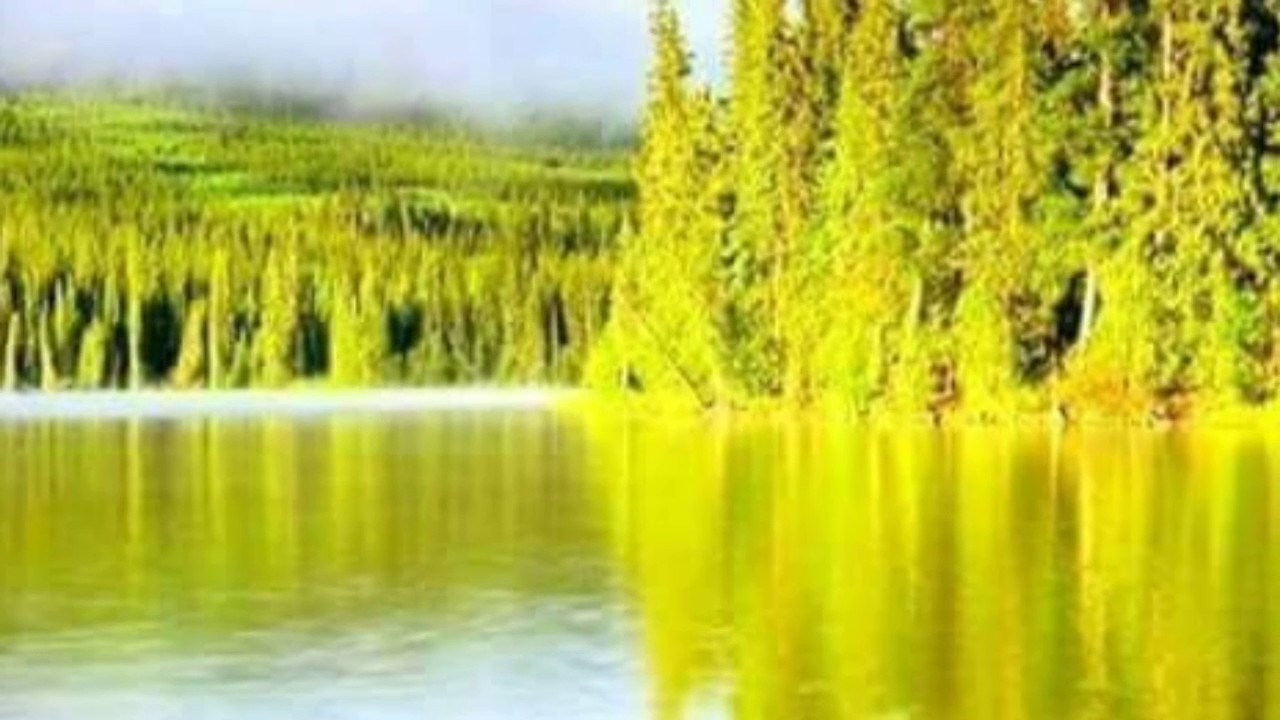 ANANDA MARGA , Secret of Akhand kirtan given by Shri Shri Anandamurti ...