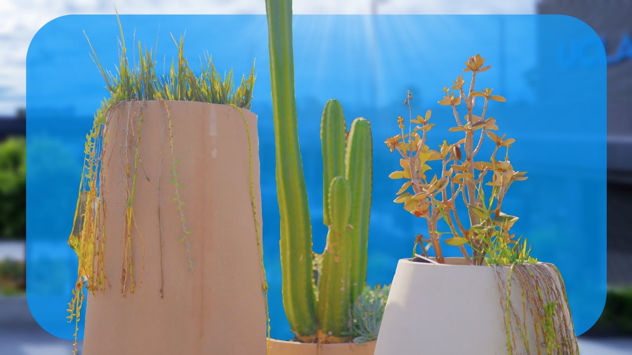 Moment of Zen: UCLA Research Park - YouTube