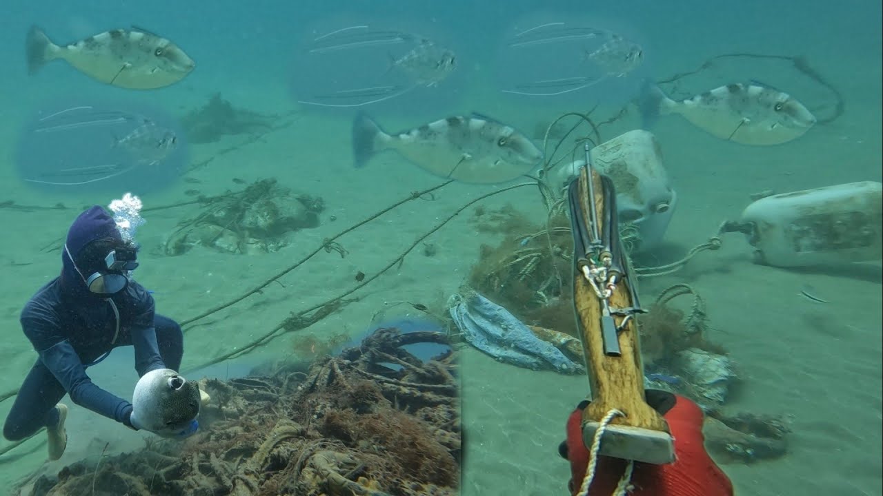 Điểm Lặn Những Góc Trà Mới Phát Hiện Cái Gò Cao - Catch Many Fish ...