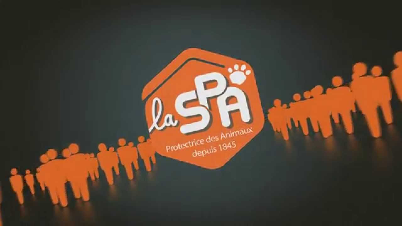 Nouvelle identité visuelle de la SPA - YouTube