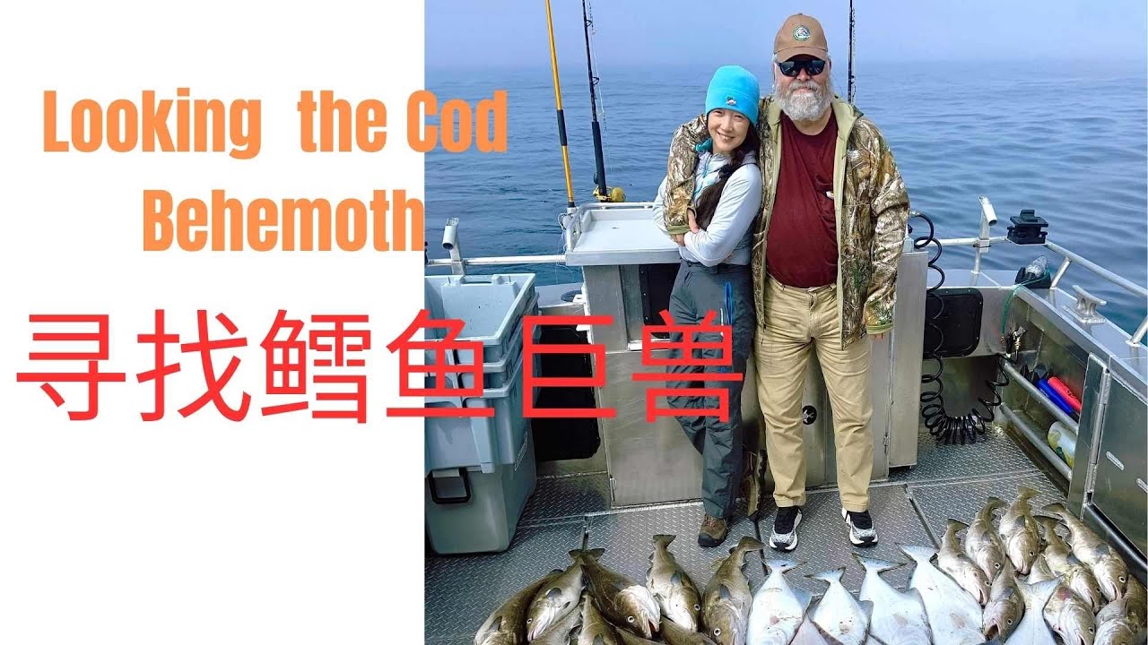 安娜寻找鳕鱼巨兽，Looking for the cod Behemoth,Anna in Alaska,Alaska slow living ...