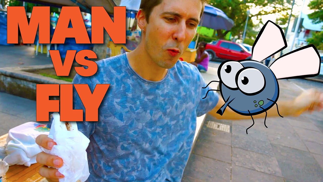 BRAZILIAN FLY ATTACKS TOURIST! - YouTube