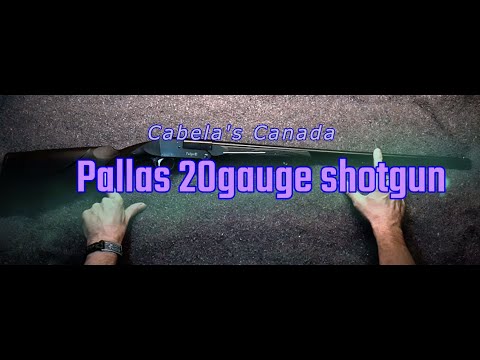 Cabalas canada Pallas 20ga shotgun