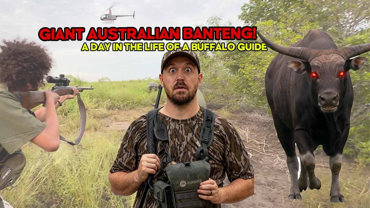 A Day in the Life of an Australian Buffalo Guide (Wild Northern ...