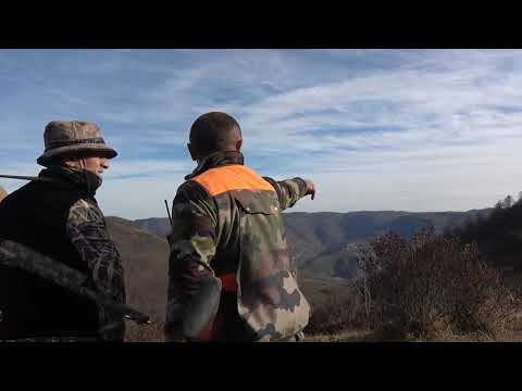AKKUŞ DOMUZ AVI  /  WILD BOAR HUNTING