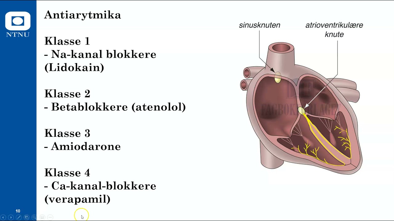 Konkrete legemidler C Hjerte og kretsløp - YouTube