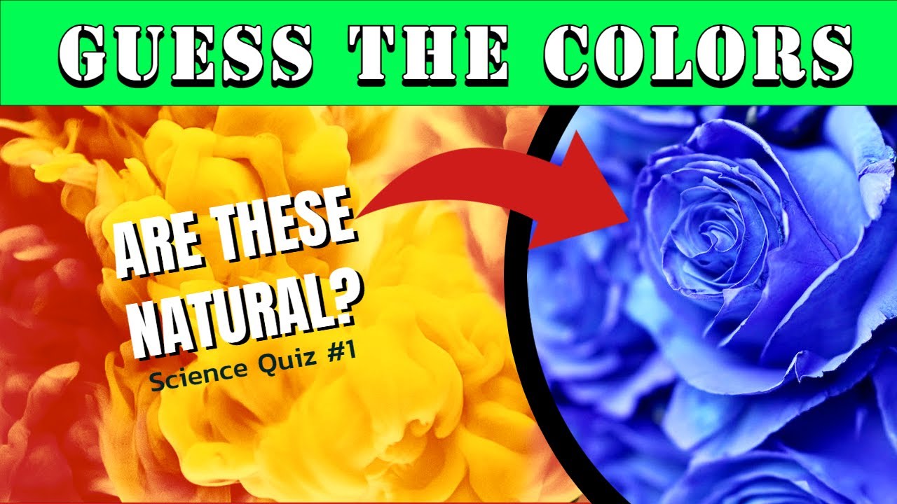 Can YOU Guess These Colorful SCIENCE Questions | Brain Flex Science ...