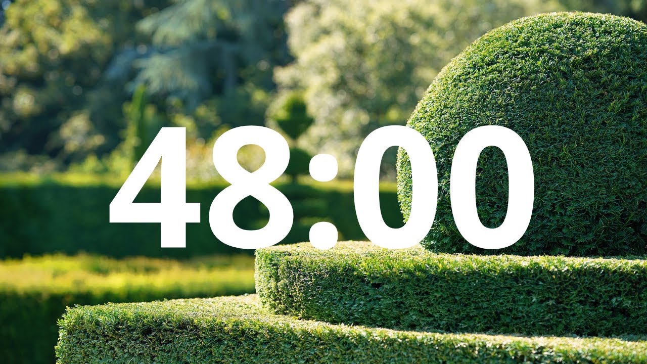 48 Minute Countdown Timer With Alarm (Simple Beep) - YouTube