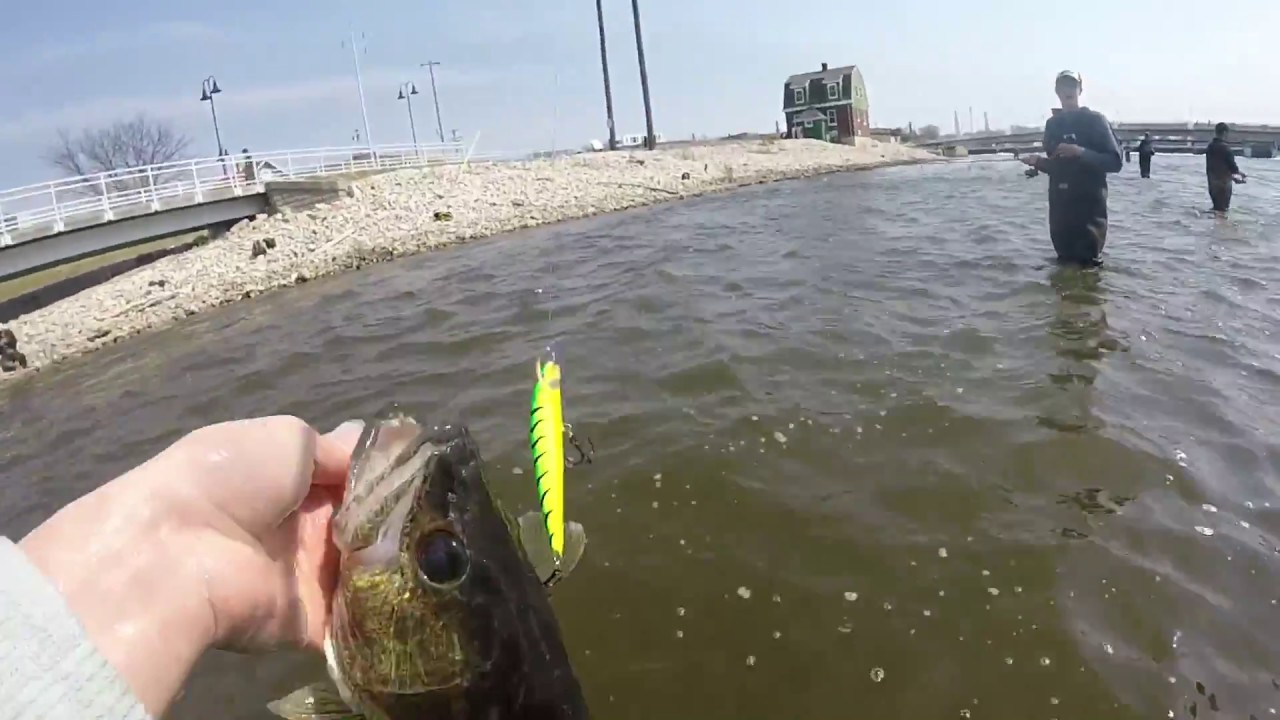 Walleye Fishing the Fox River! April 8, 2017 - YouTube