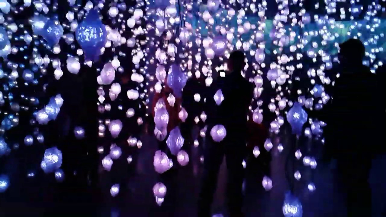 February 7, 2017 - YouTube