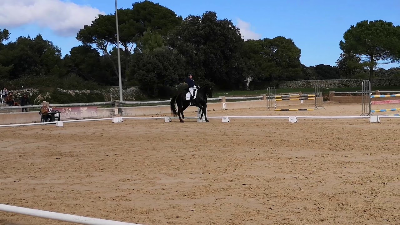 Dubai king doma clasica(2) - YouTube