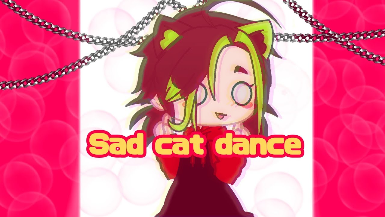 sad cat dance meme |OkkO OC| gacha club - YouTube