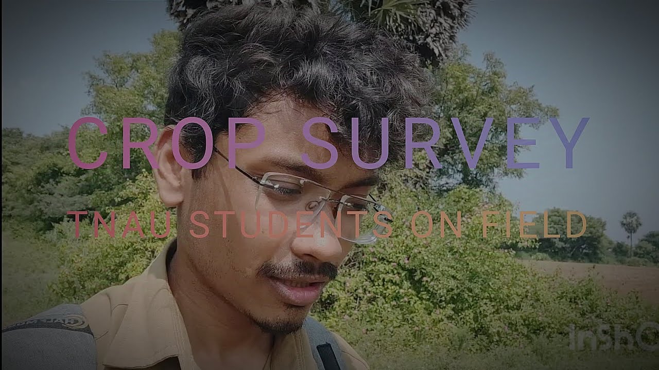 Agricultural crop survey 2024. TNAU students in Krishnagiri. - YouTube
