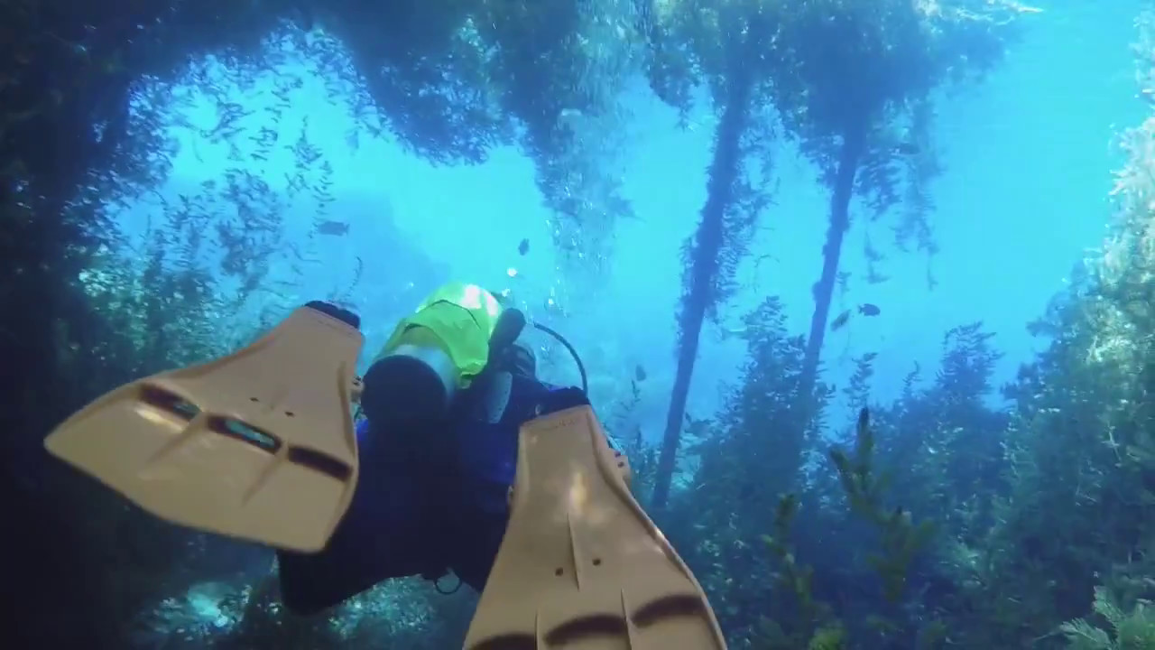 Spring Lake Dive - YouTube