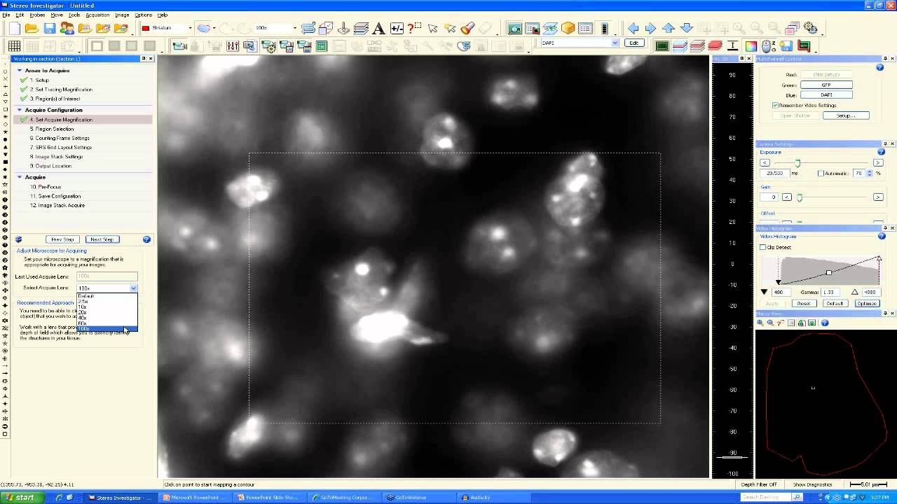 Webinar: Performing Systematic Random Sampling (SRS) Image Stack ...