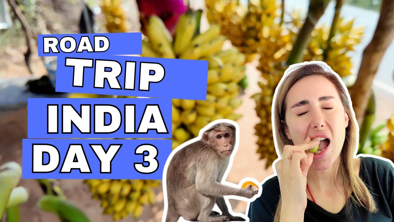 Watch this 10 minutes if you ever want to come to India 2024!!! Road ...