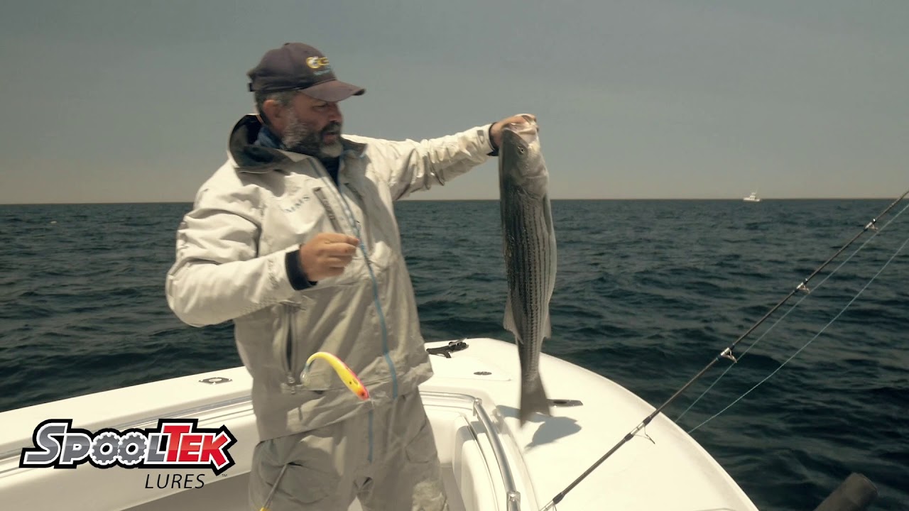 Patrick Sebile & SpoolTek Lures w/ Team Goose. - YouTube