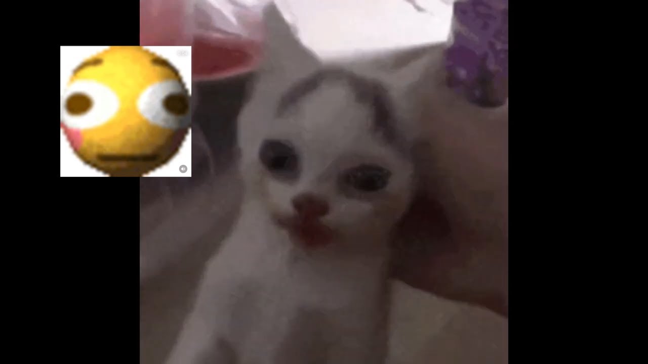 first catcore video - YouTube