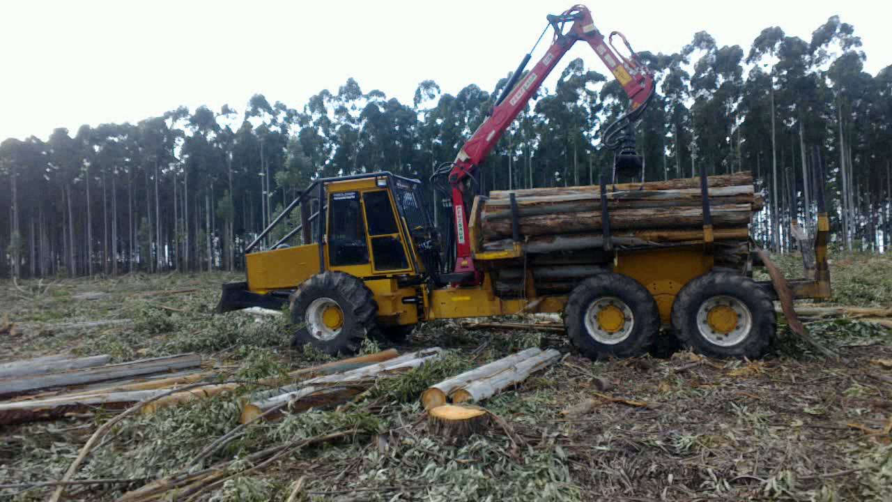 Forwarder 6x6 en Paso de los Libres - YouTube