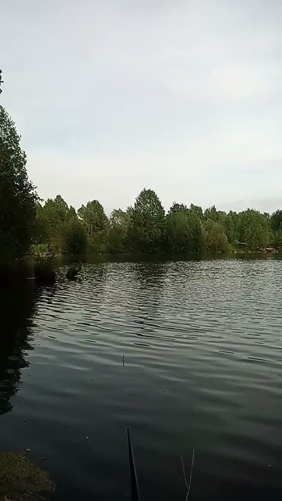 Skiy DJ Yo!Love Nwantiti Марий Эл Ташнурское озеро - YouTube