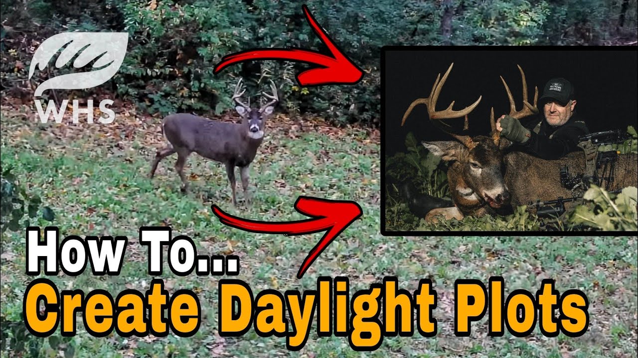 How To Create A Daylight Hunting Plot - YouTube