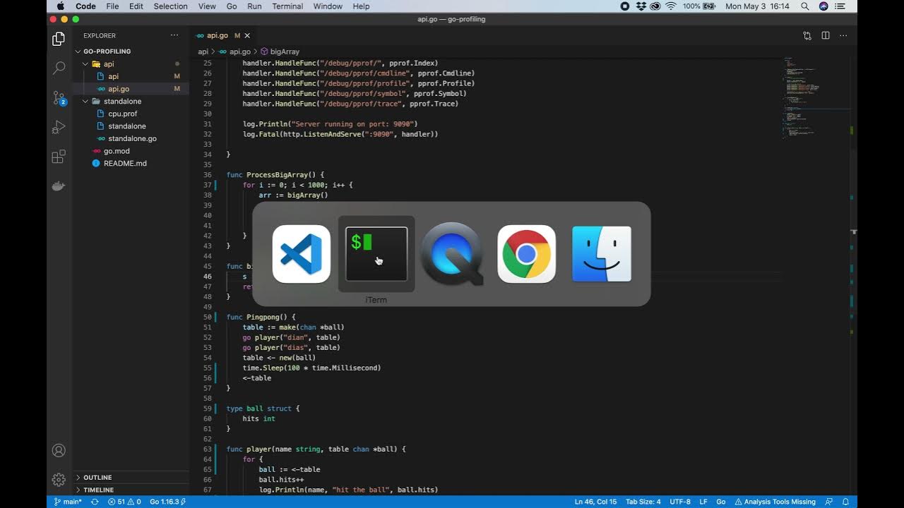 Demo Profiling di Go/Golang - YouTube