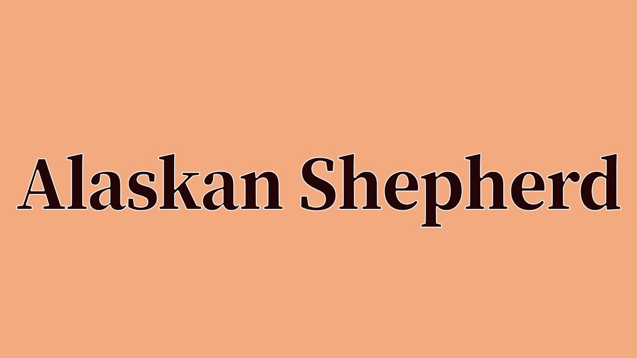 Alaskan Shepherd Pronunciation and Meaning - YouTube