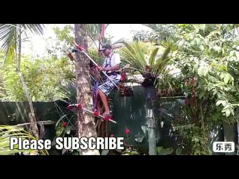 Coconut tree climbing machine. (Made in Sri Lanka). 🇱🇰. Lali Bro - YouTube