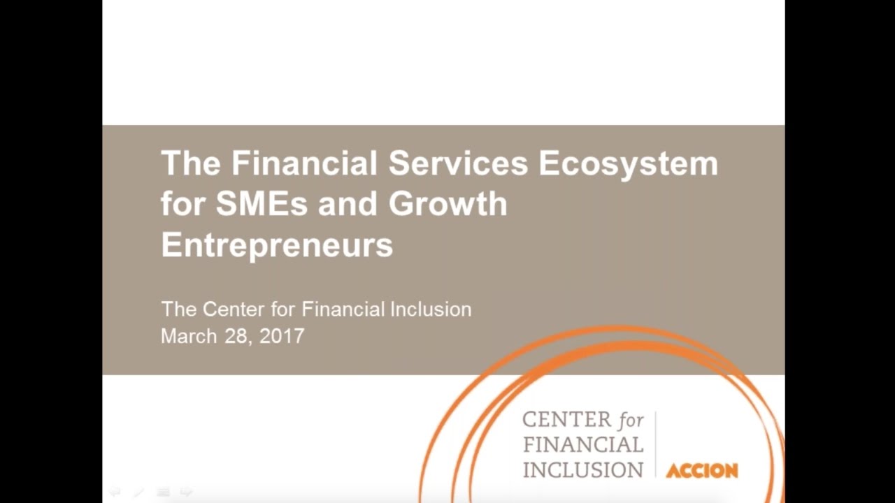The State of the Financial Services Ecosystem for SMEs and Growth ...