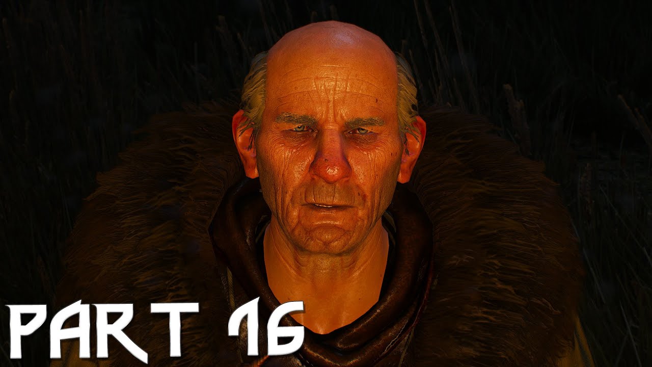 THE WITCHER 3 WILD HUNT Walkthrough Gameplay Part 16 - PELLAR (PC ...