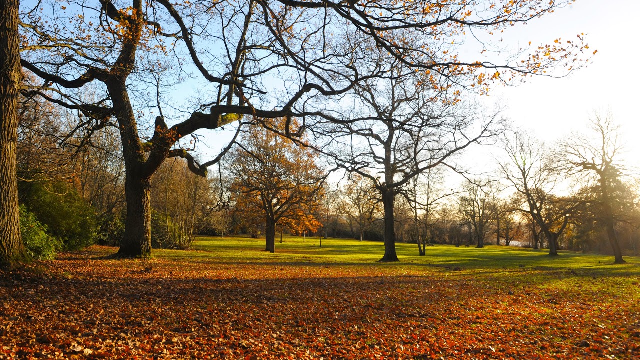 North Lanarkshire SYP Election Results - YouTube