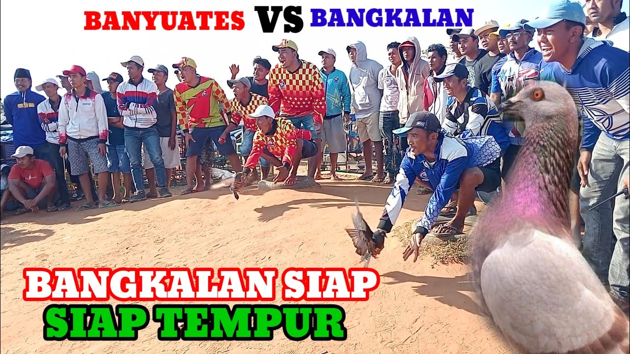 kembali membludak team banngkalan di lapak Banyuates 10 okt 2024 - YouTube