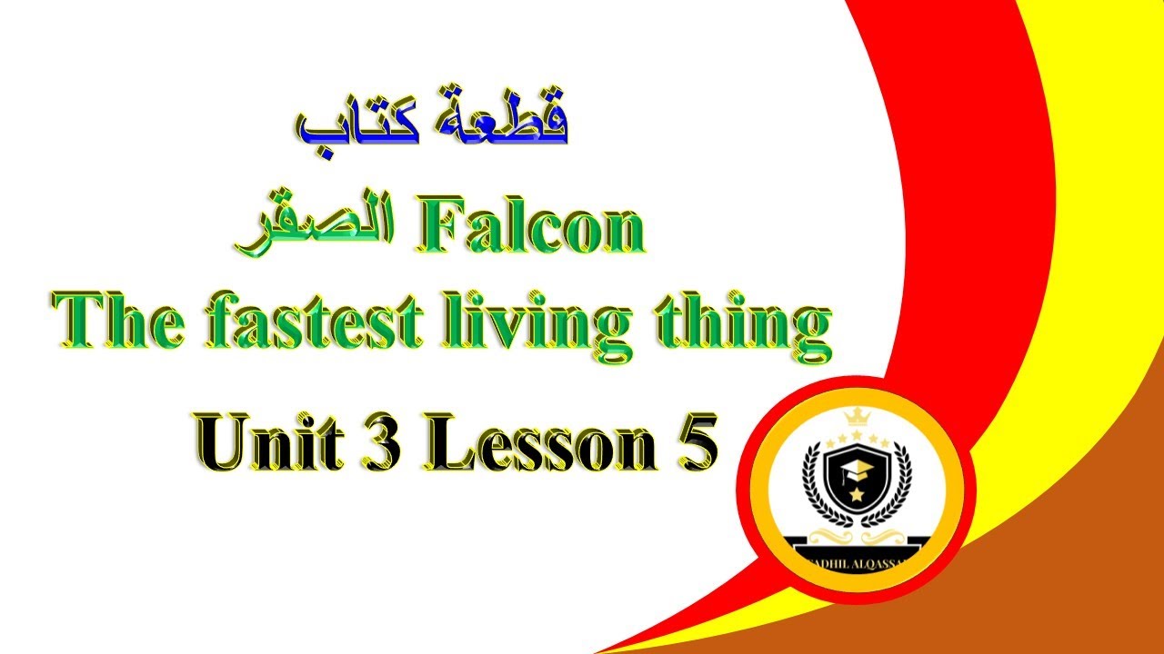 10 U3 L5 The fastest living Thing أسرع كائن حي الصقر The falcon - YouTube