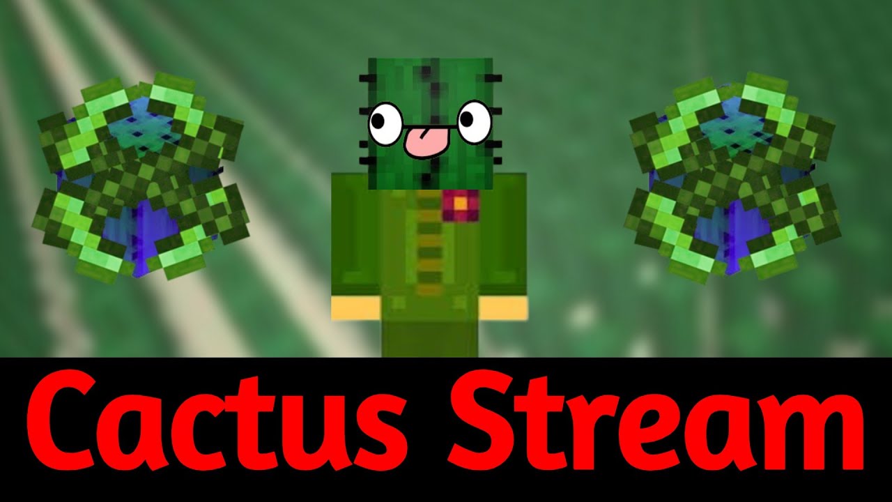 Final Cactus stream! also profile reviews| HYPIXEL SKYBLOCK - YouTube