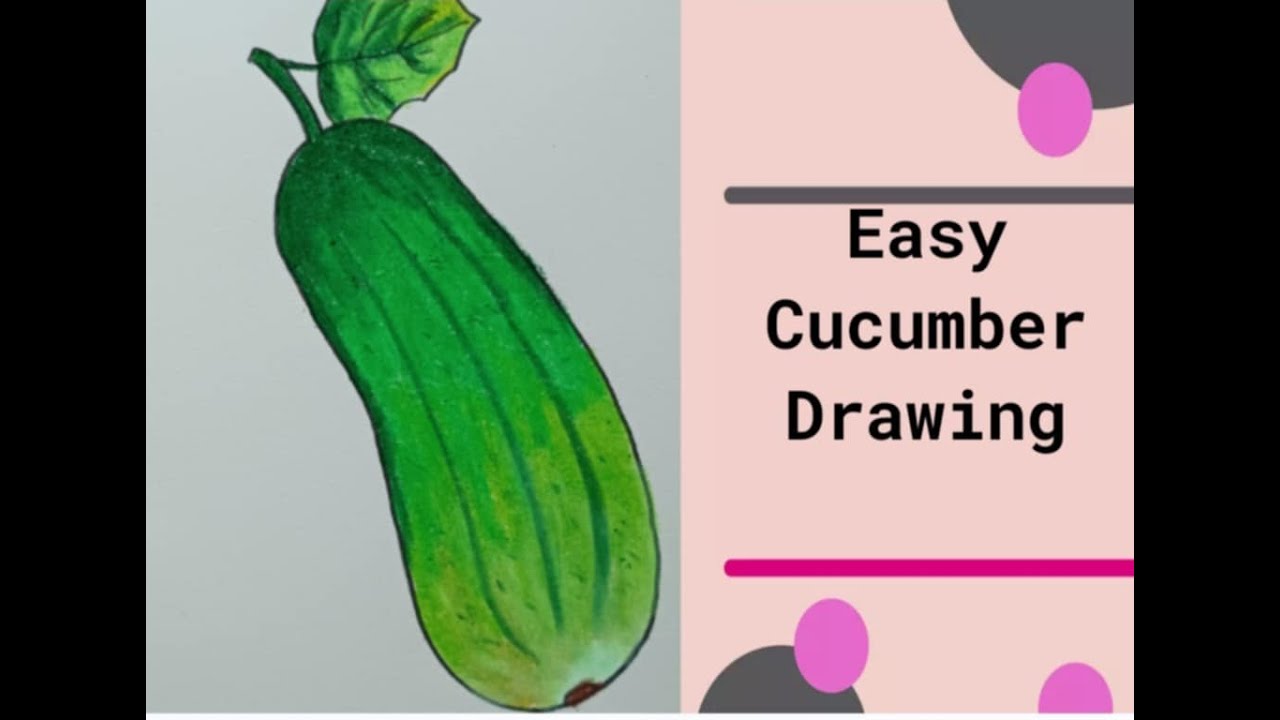 How to draw a easy cucumber. Easy cucumber drawing step by step.Easy ...