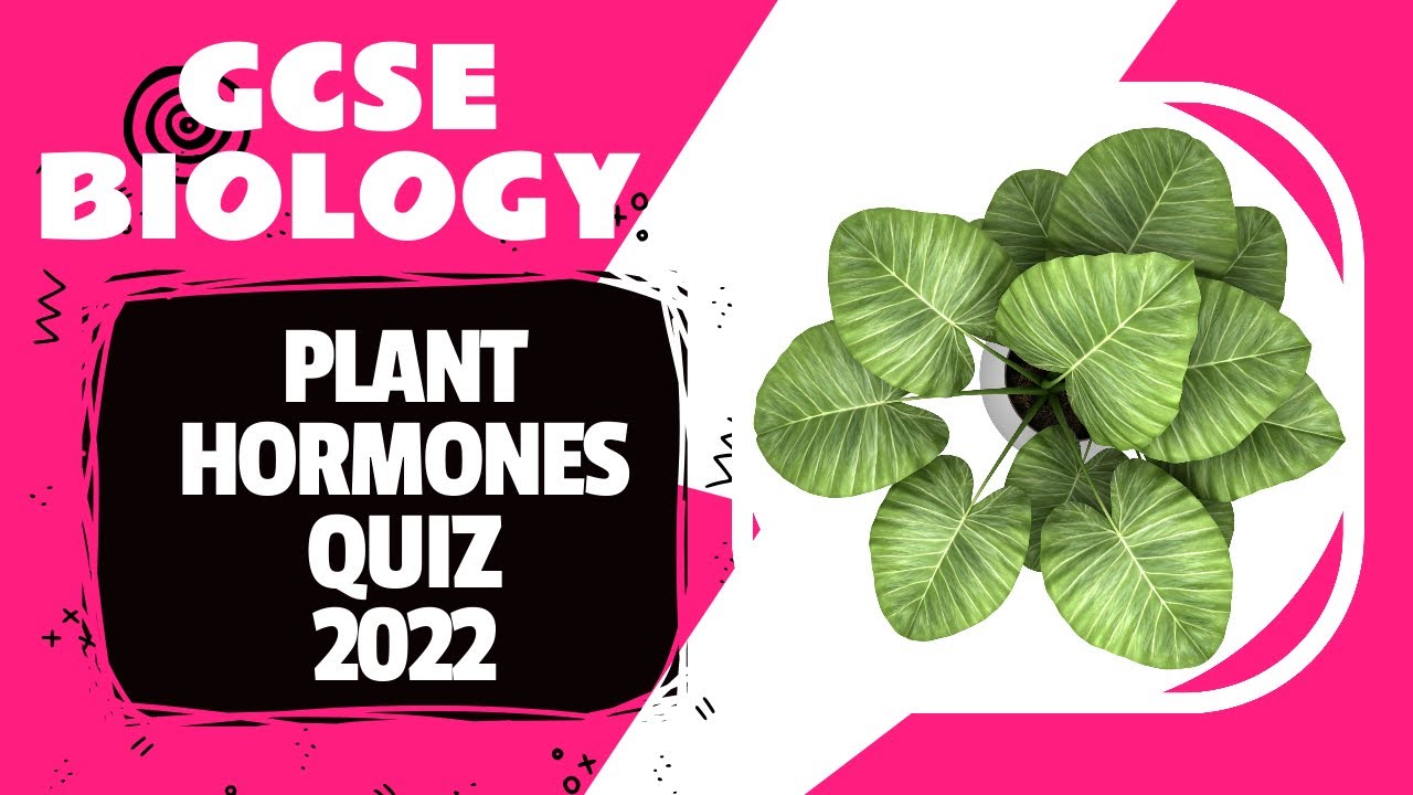 Plant Hormones And Auxin QUIZ | GCSE Biology Quiz with ANSWERS - YouTube