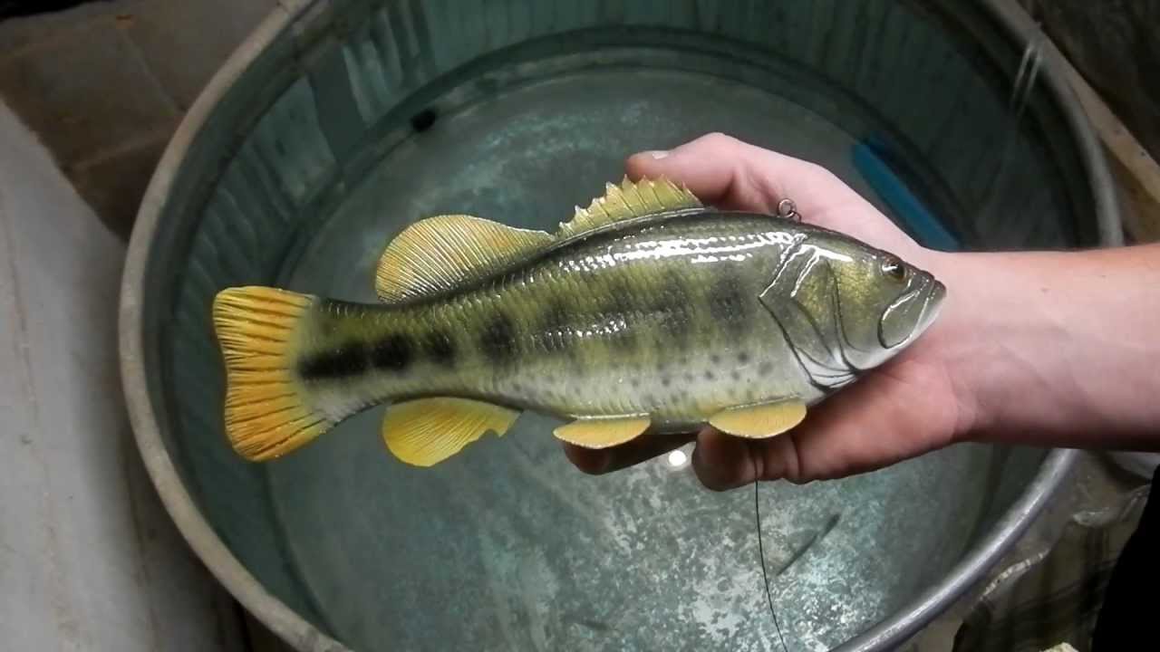 Laska's Decoys REALISTIC LARGEMOUTH BASS FISH DECOY TEST SWIM! - YouTube