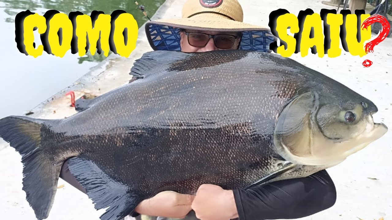 COMO SAIU ESSE PEIXE SOL PESCARIA - YouTube