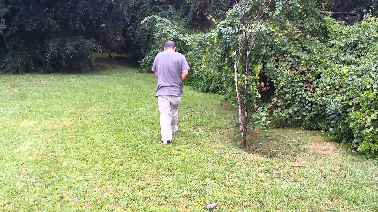 Duck retrieving practice blind retrieve - YouTube