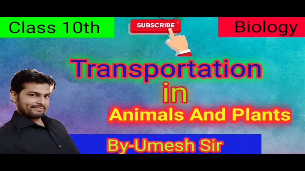 Ch-1 Life Processes | Transportation | Class 10| NCERT |Biology| UP ...