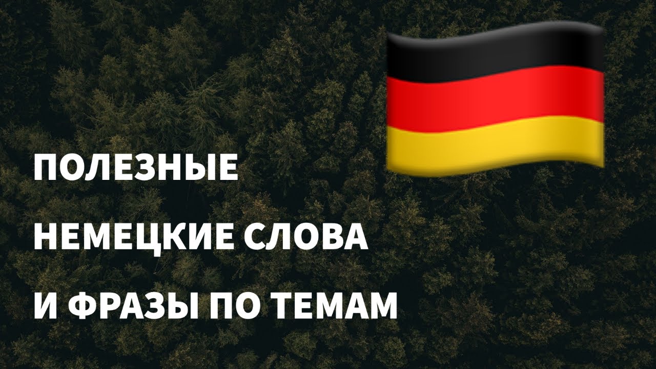 Полезные немецкие слова и фразы по темам для начинающих Учим немецкий