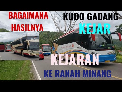 Dua Pelari Cepat , Kudo Gadang Saling Tancap Gas , Bagaimana Kah ...