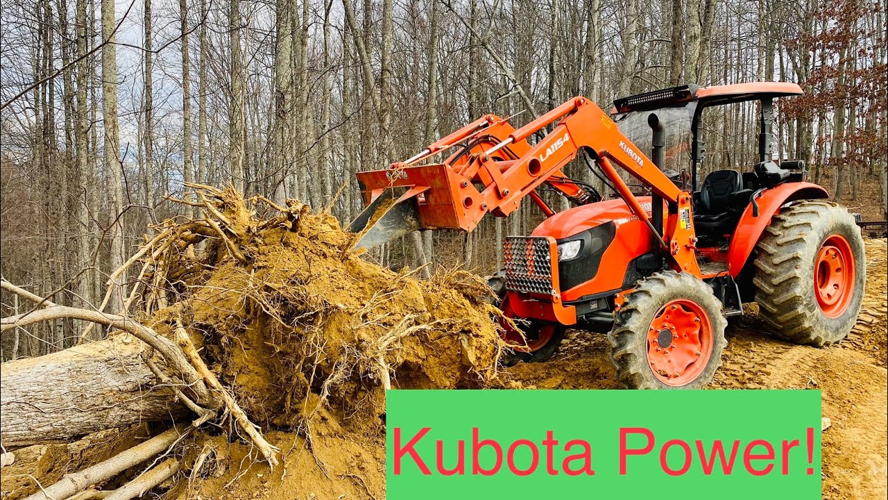 Uprooting a Big Tree with Farm Tractor and Stump Bucket! - YouTube