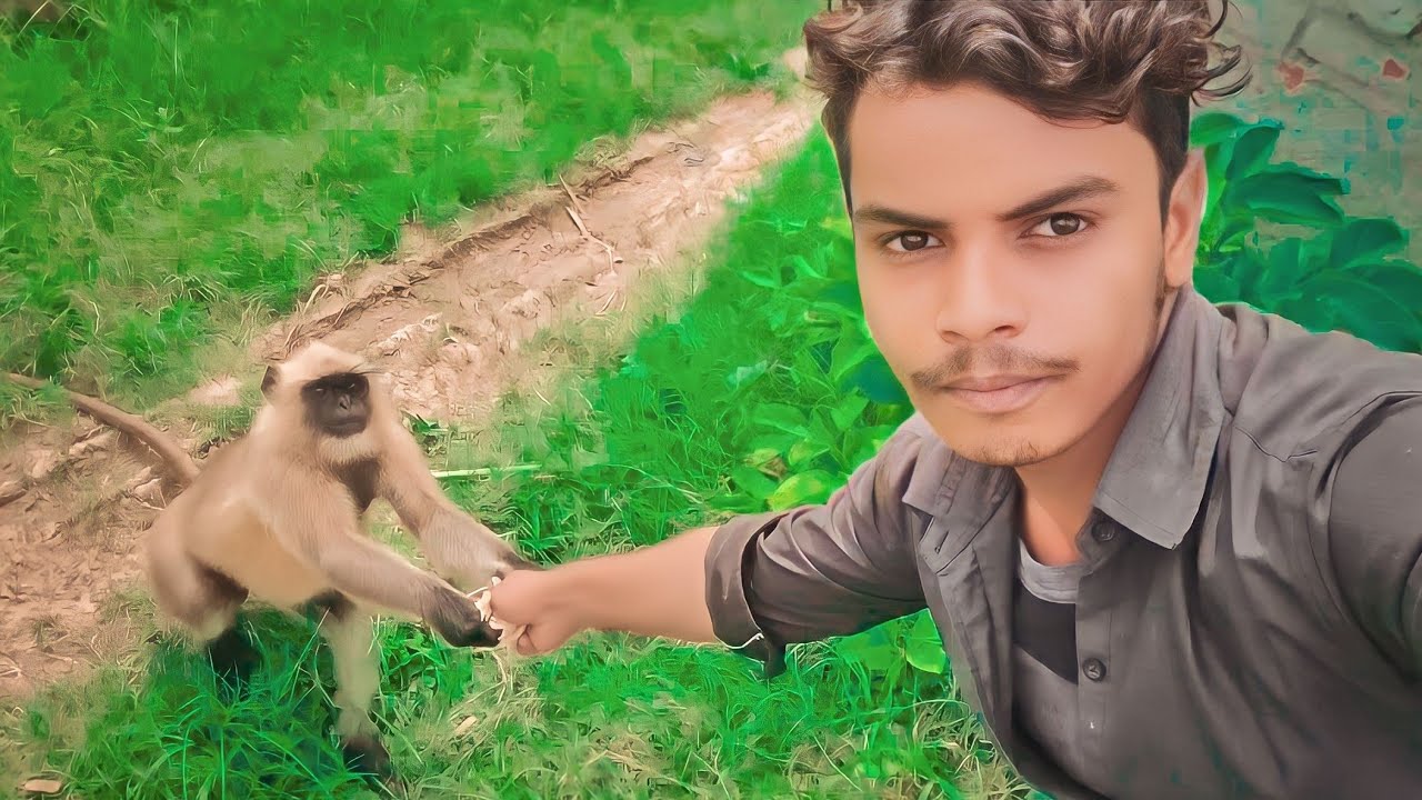 monkey 🐒🐒 को रोटी खियाते समय full enjoy - YouTube