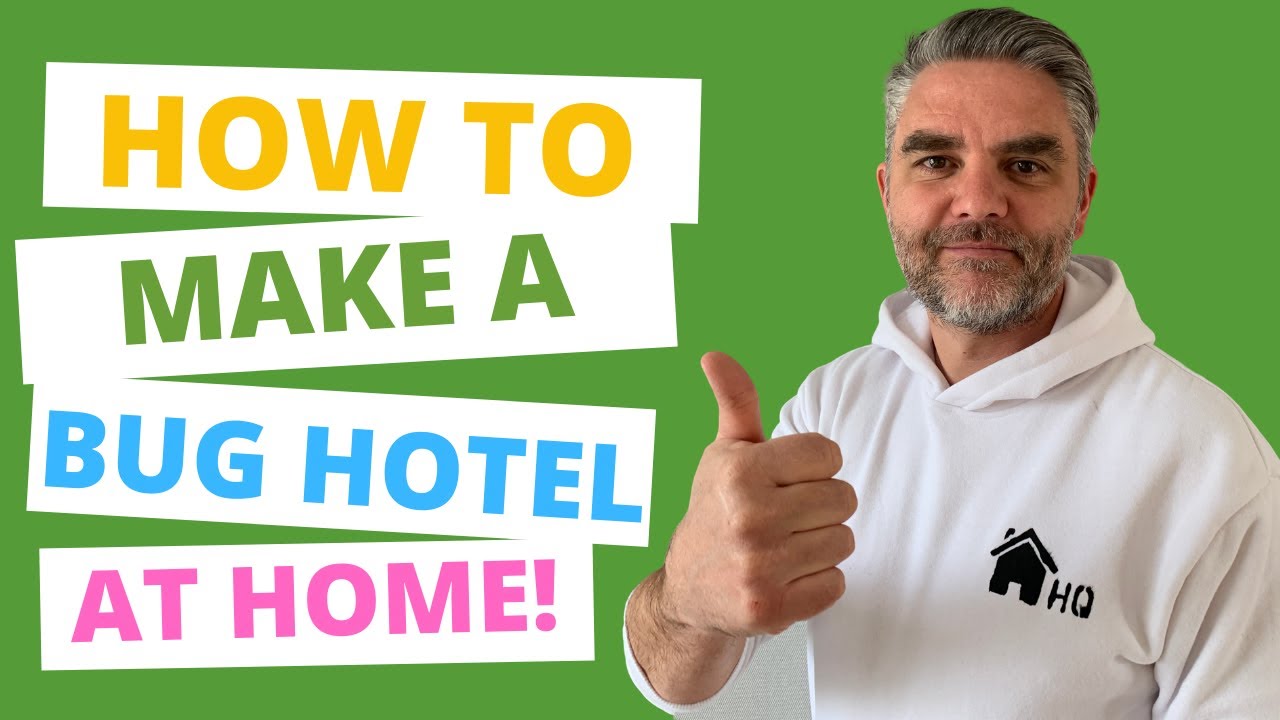 HOW TO CREATE A BUG HOUSE | EASY DIY BUG HOTEL | 4 STEPS TO BUILDING A ...