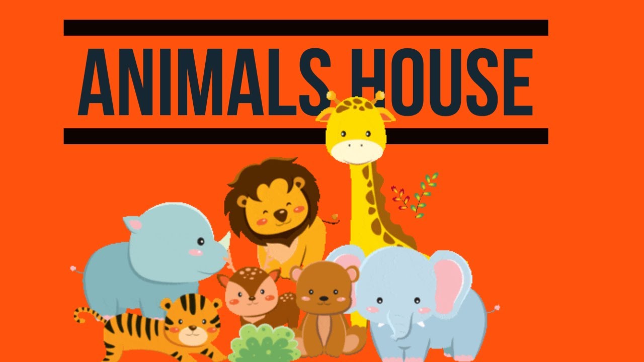 Animals house/Animals home/learn about animals house/English learning # ...