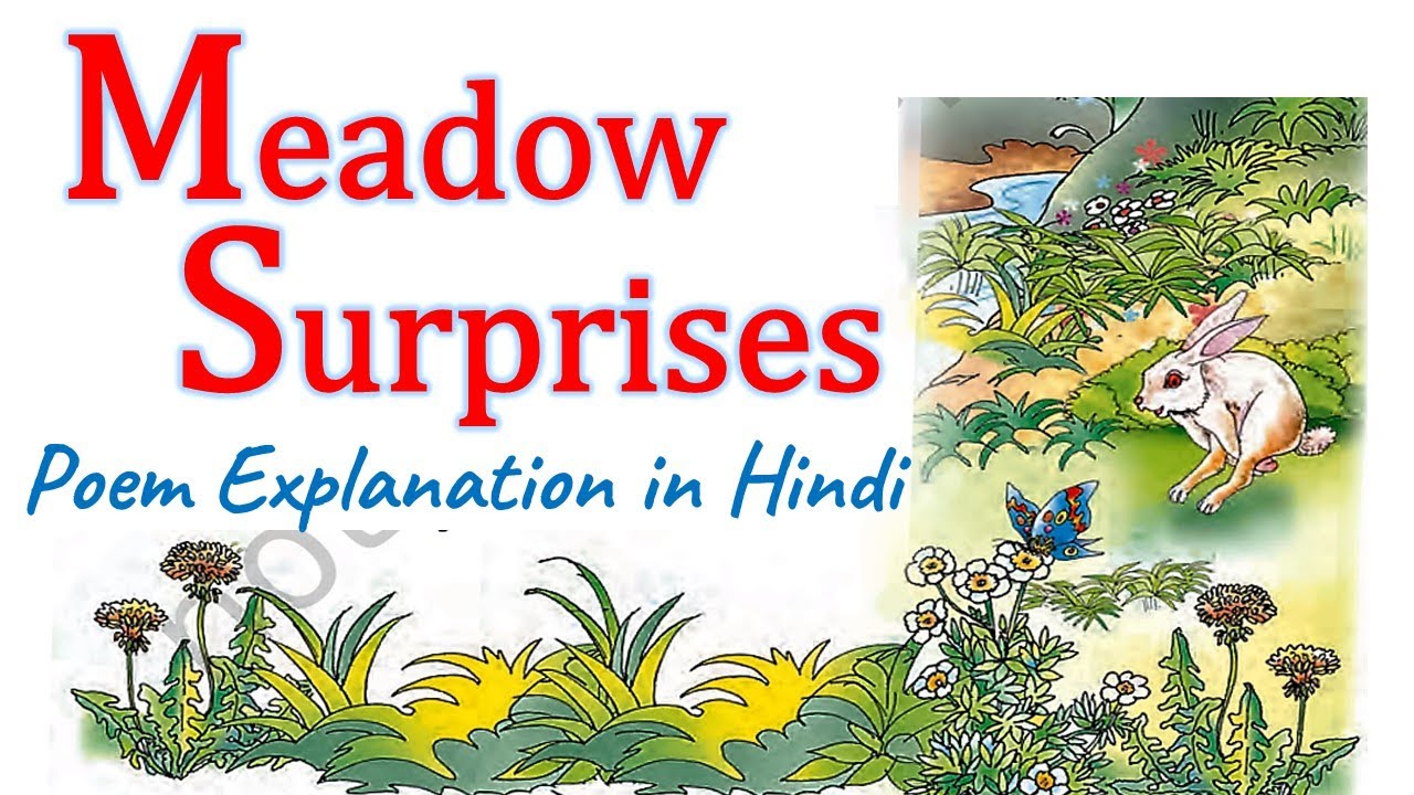 MEADOWS SURPRISES Hindi Explanation Class 7 English Poem 8 NCERT Class meadows-surprises-hindi-explanation-class-7-english-poem-8-ncert-class