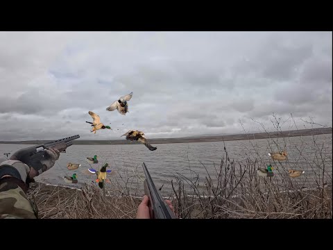 FİŞEKLİK BİTTİ (MUHTEŞEM ÖRDEK GÖÇÜNE DENK GELDİM) MÖHRELİ ÖRDEK AVI / duck hunting / охота на уток